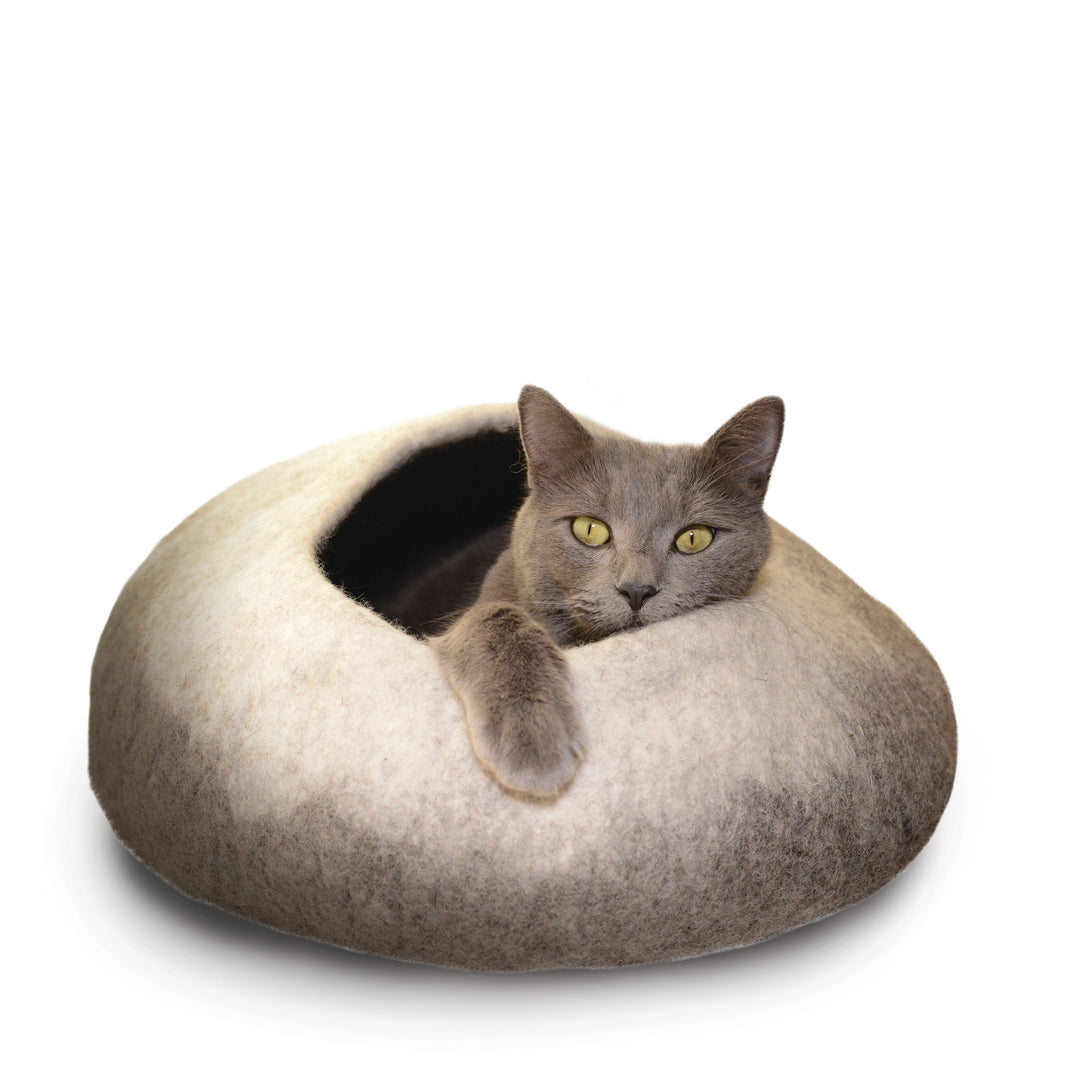 Caves – Karma Cat