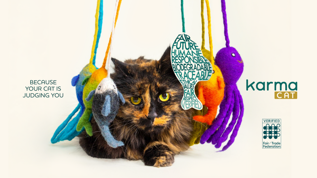 Karma Cat