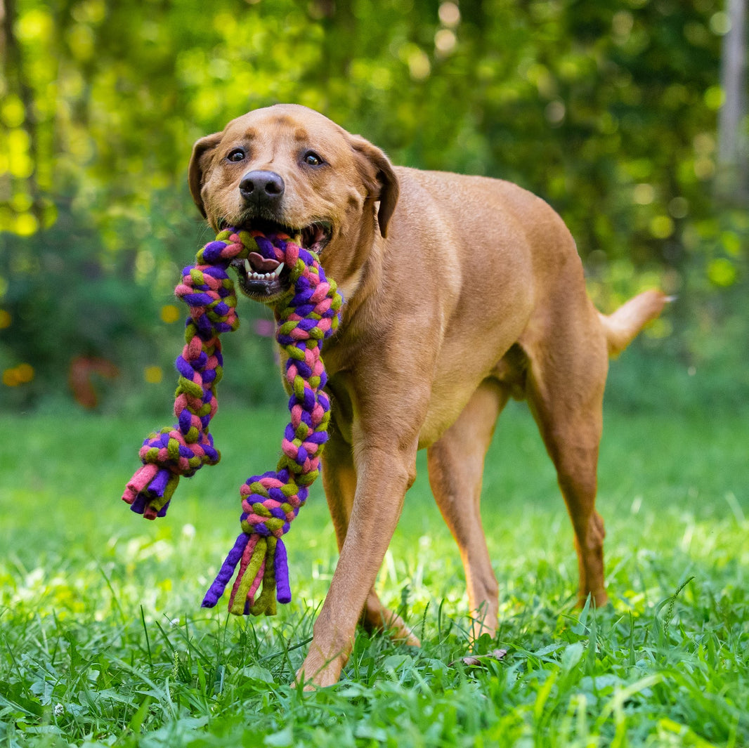 Dharma Dog Toys – Karma Cat